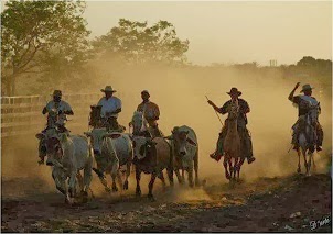 Entorno comunicacional San Martin Meta: Entorno comunicacional San ...
