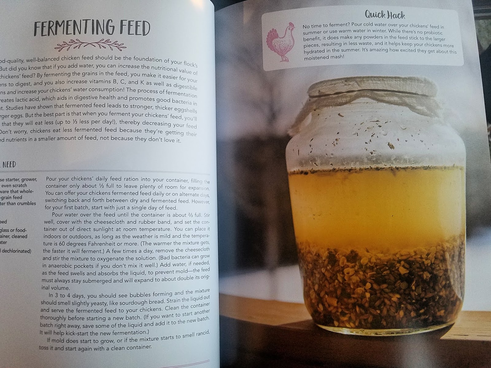 10 Tips for Better Fermented Feed for your Chickens - Fresh Eggs Daily ...