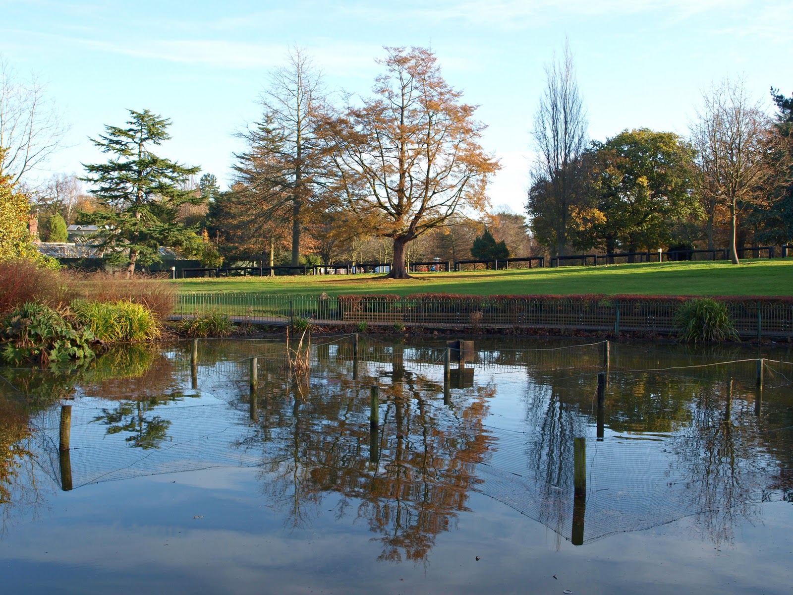 Mark's Veg Plot: Walton Gardens