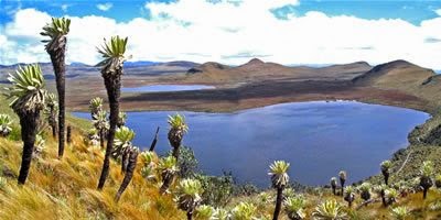 RESERVA ECOLÓGICA EL ÁNGEL