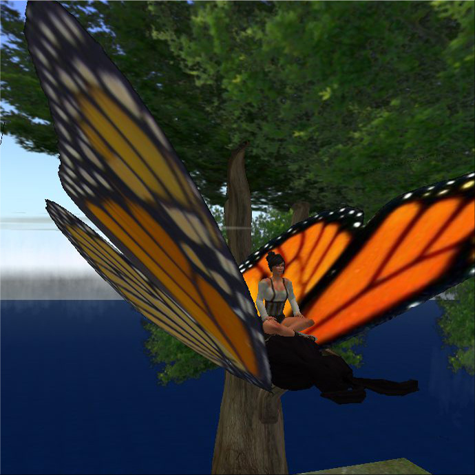 Scarlotland: Butterfly Hunting!
