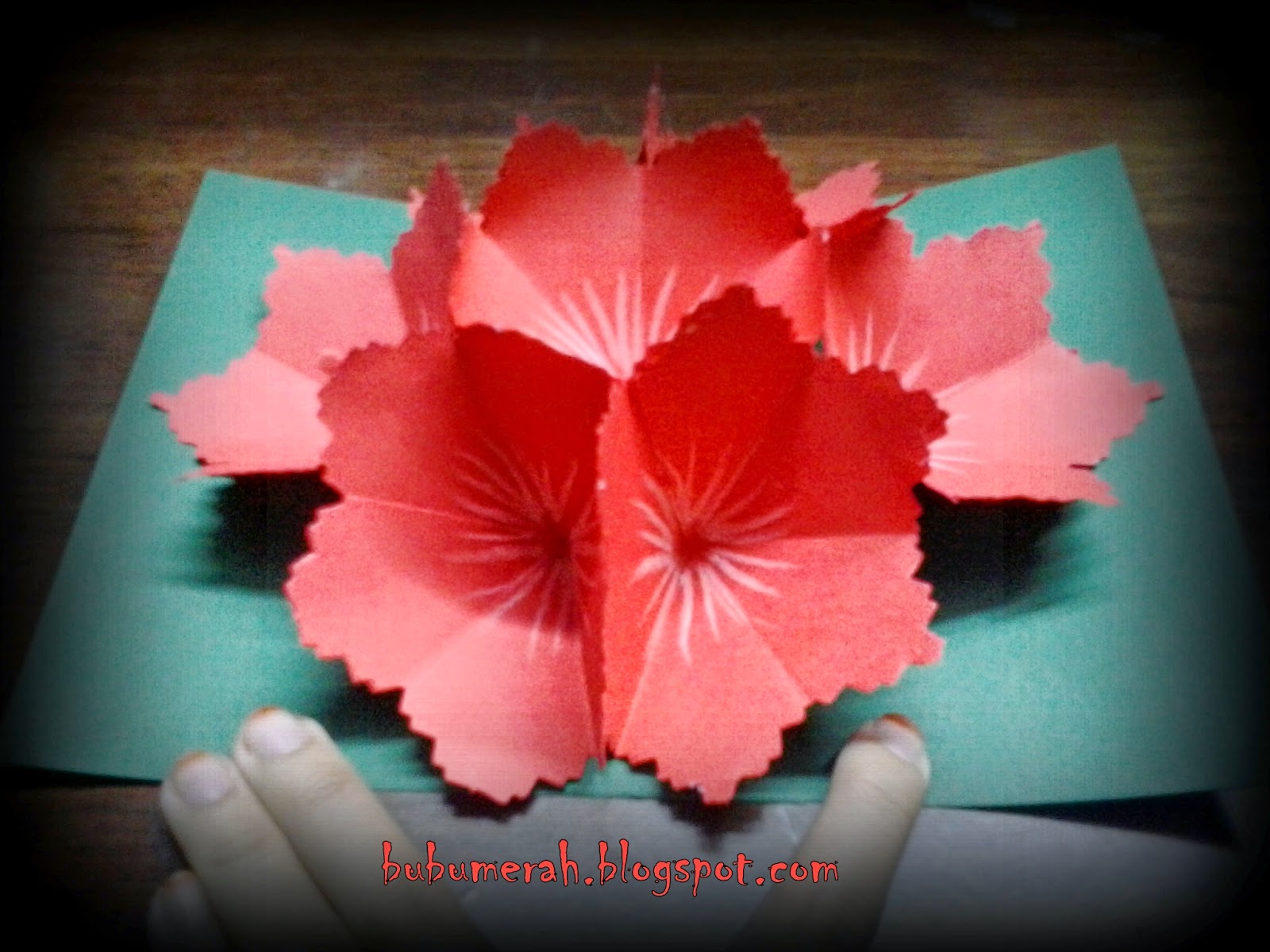 bubumerah.blogspot.com: variasi pop-up bunga