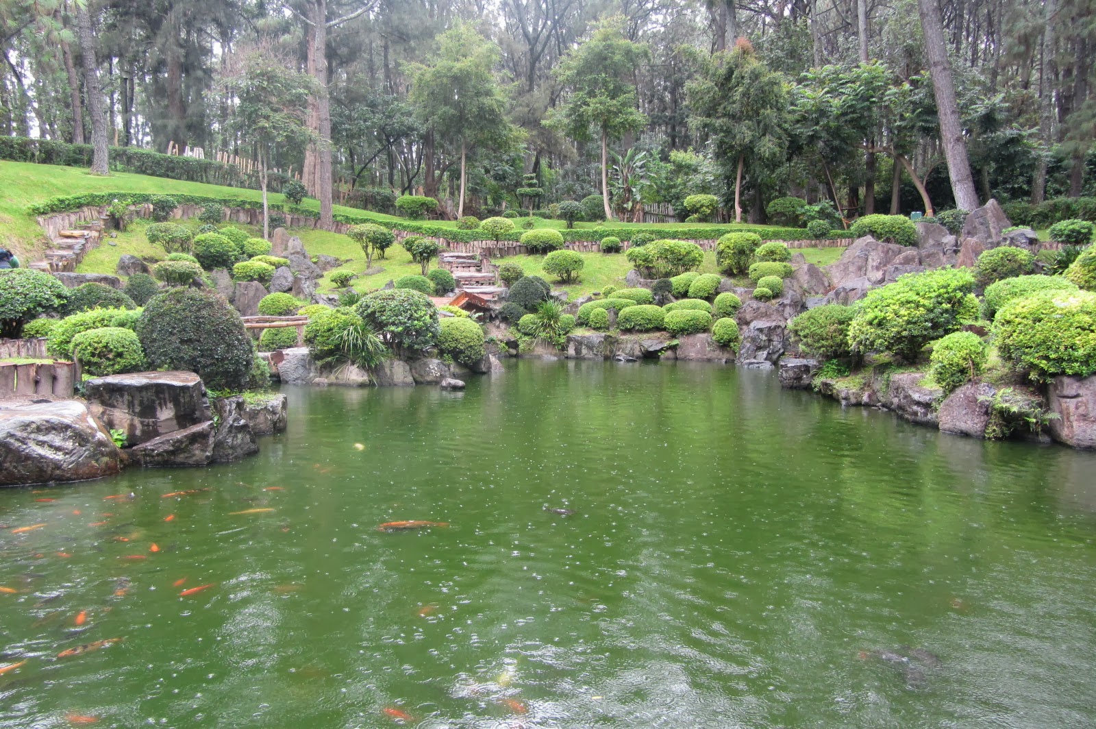 Dezmedido Amor♥: De visita en el Parque Los Colomos. ♥