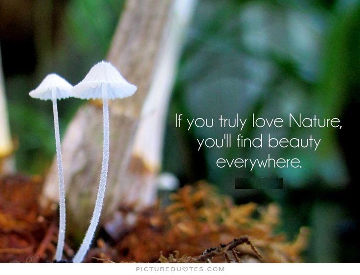 Love is Natural Quotes | Quotes Ring