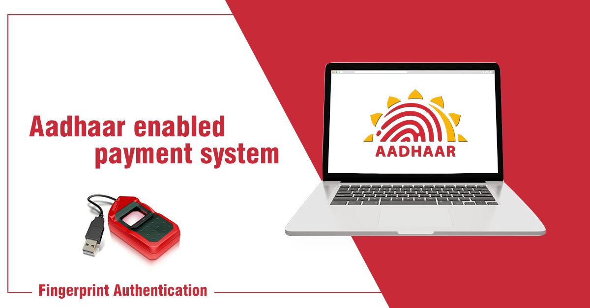 Providing Custom Software Solutions with Web Development and Mobile App ...