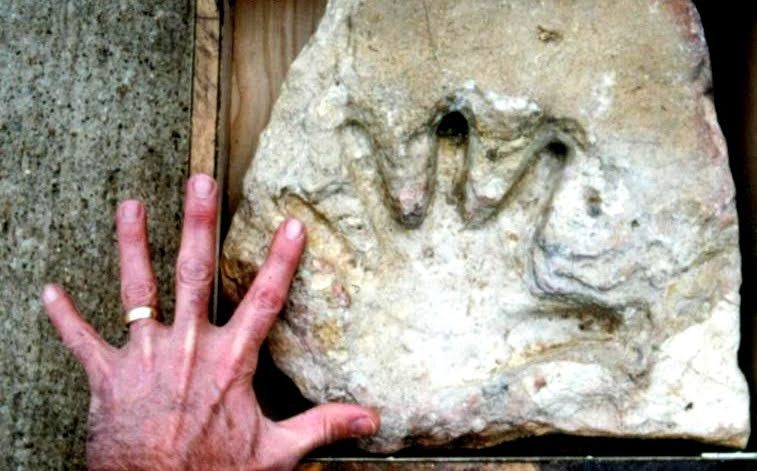 The Biggest Secrets Of The World: A Fossilized Human Hand Print: Out-of ...