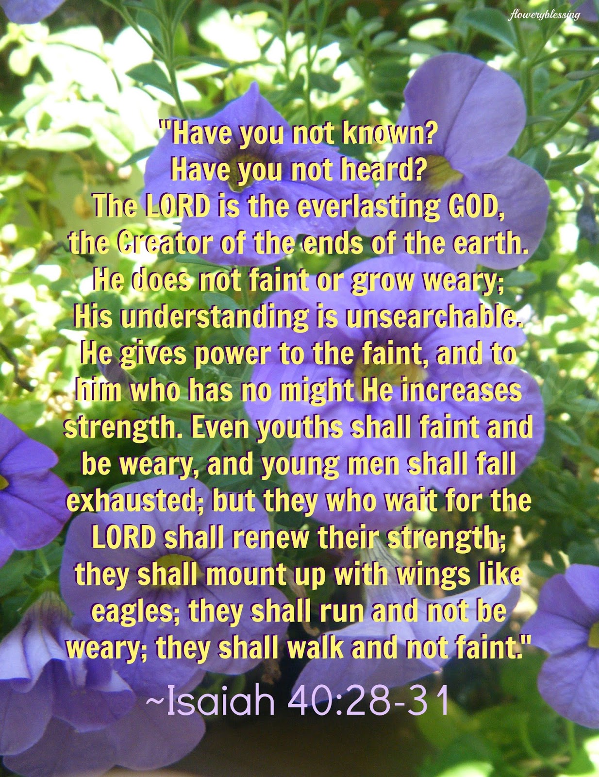 Flowery Blessing: "Have you not known? Have you not heard? The LORD is ...