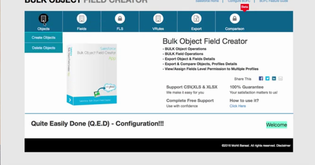 Salesforce Bulk Metadata Operations