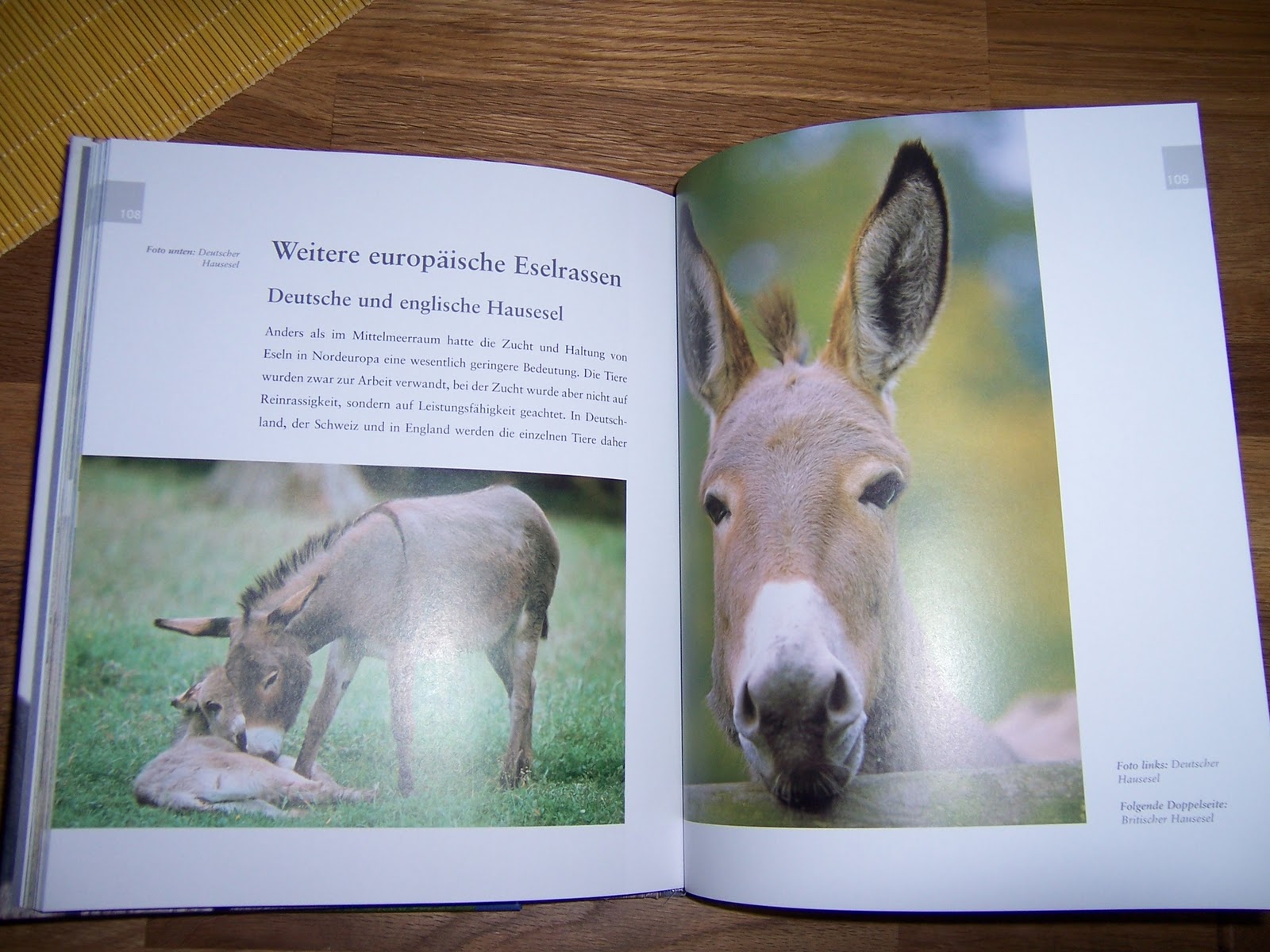 Landleben & Literatur: Heute im Bücherstübchen: alles über Esel