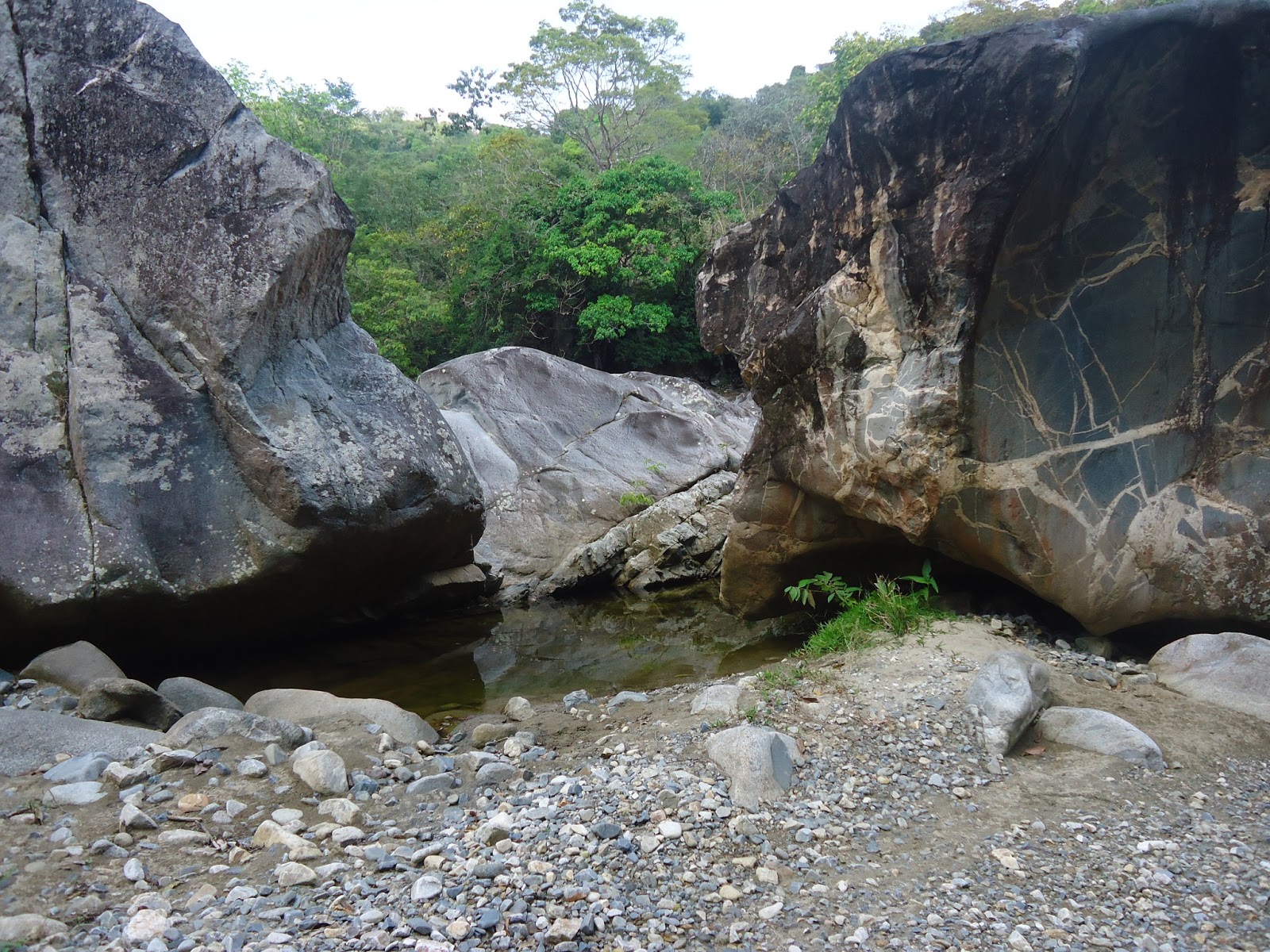 Carlos De Gracia Alvarado