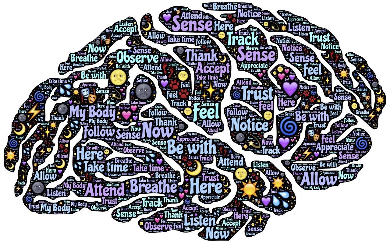Novel Points of View: The Writer's Brain