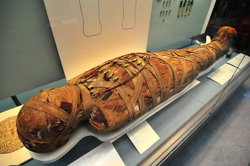 JJ24Hour.com: มัมมี่ ( Mummy)