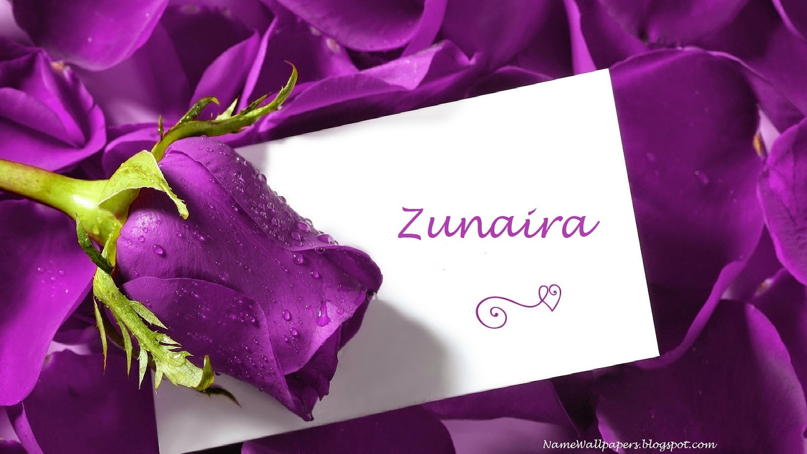 Zunaira Name Wallpapers Zunaira ~ Name Wallpaper Urdu Name Meaning Name ...