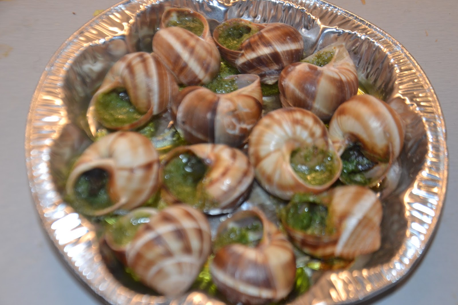 Oppdag Fisk!: Tyrkisk Snegle/Turkish Snail/Helix Lucorum (På Land)