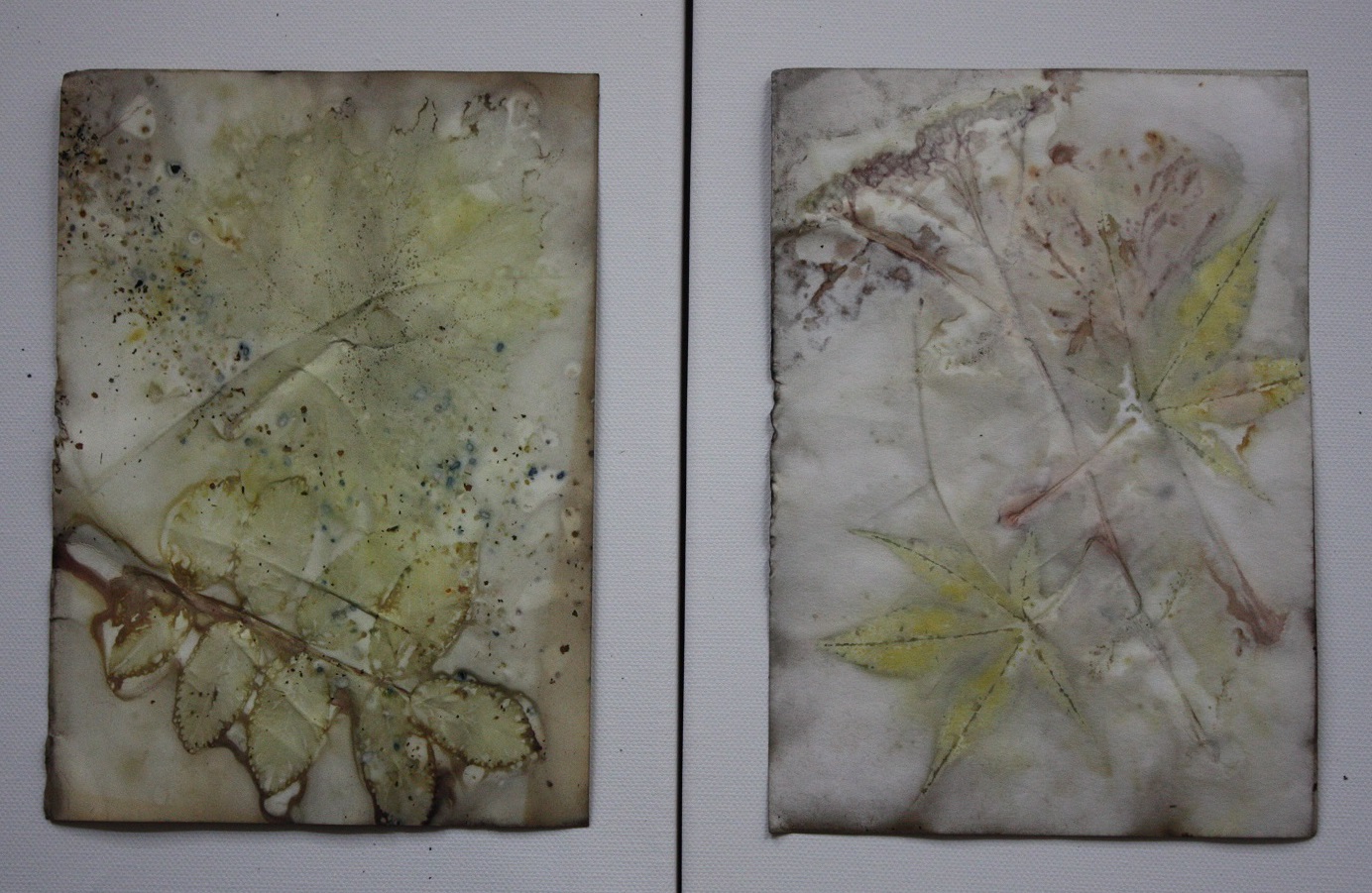 Tineke's Creations: Eco print op papier