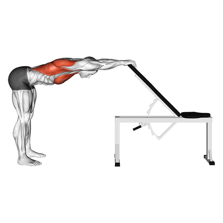 Old School Strength : Spine and Back Dynamic Stretching Routine