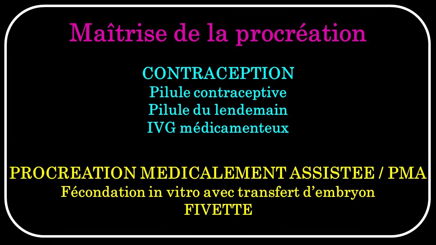 Le labo d'Anissa - SVT: Chapitre 1 : La maîtrise de la procréation ...