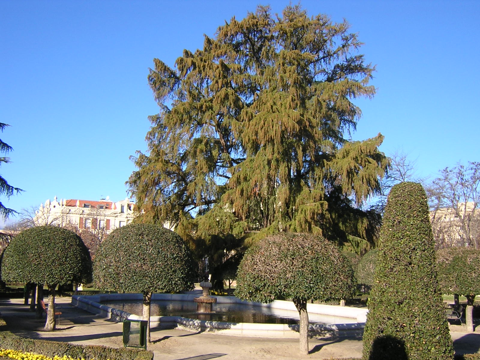 El parque más importante de Madrid