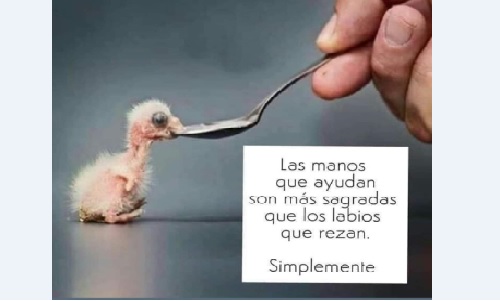 JUANA MACEDO, Frases, Reflexiones y algo más: Las manos que ayudan son ...