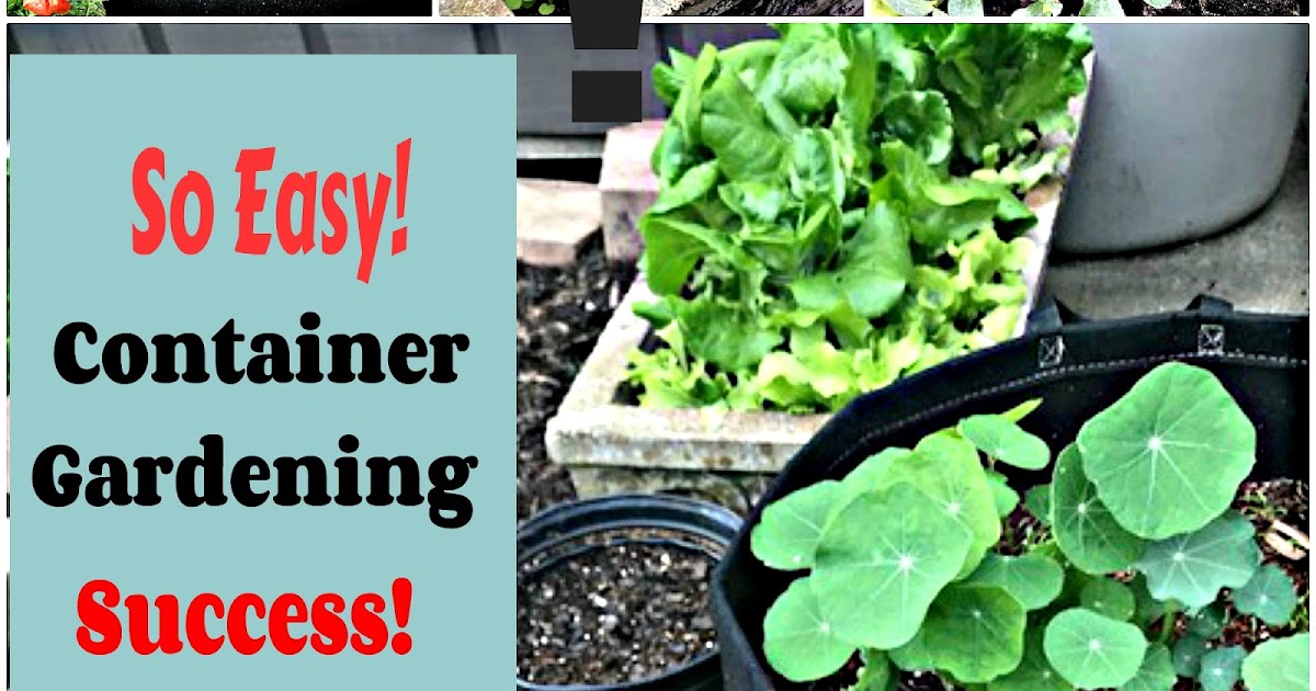 At Home My Way: Start where you are! Container Gardening Success!