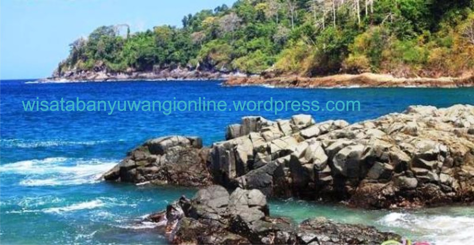 wahanawisata.com: wisata pantai Rajeg Wesi Banyuwangi