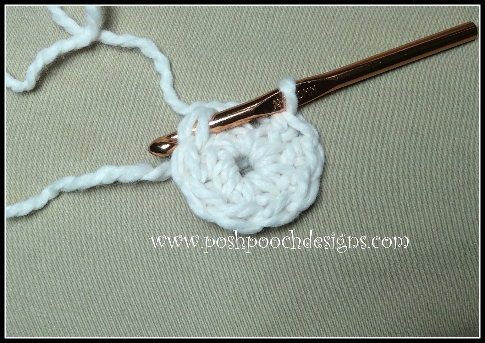 Posh Pooch Designs : Live With Sara - "How and Where to Join" | Posh ...