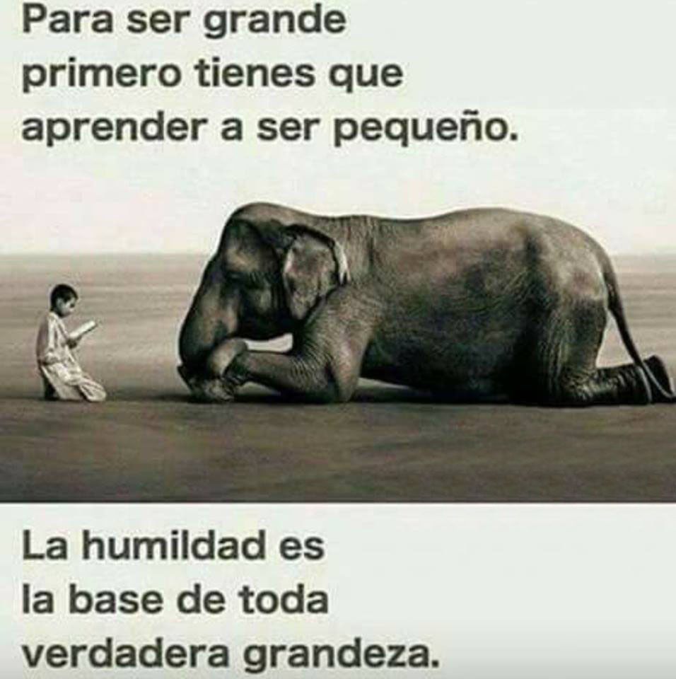 Escuela de Inteligencia Emocional: Ofendidos y ofendiendo