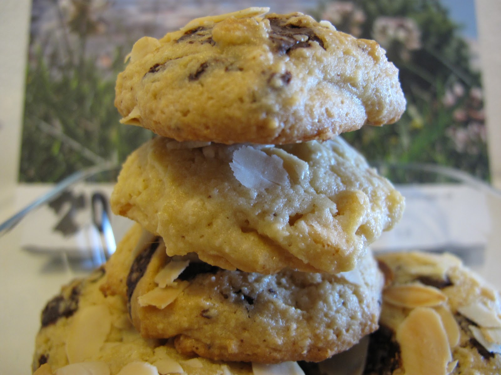Gourmandises HomeCooked: Biscuits : Amandes et Chocolat ( avec un jaune ...