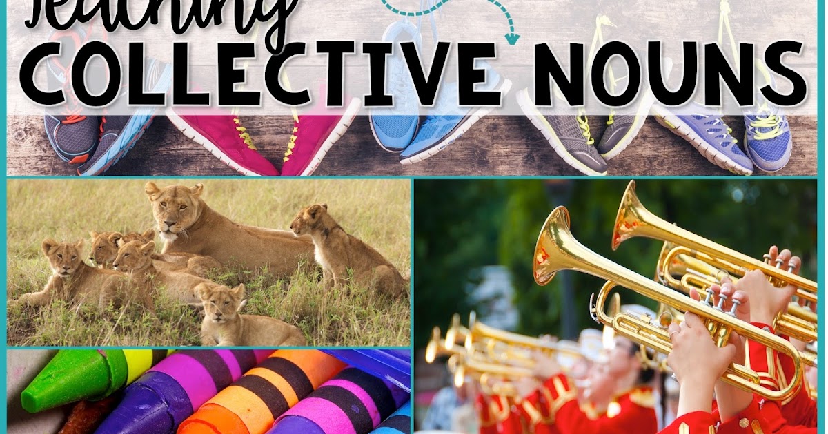 What's the Deal with Collective Nouns? - Hippo Hooray for Second Grade!