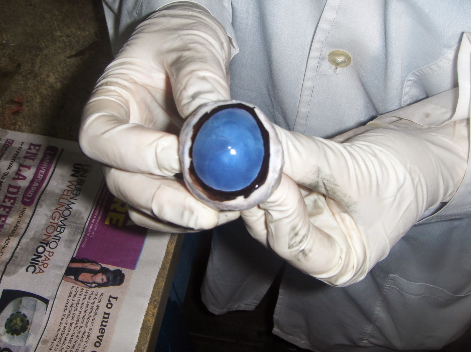 Fisiologia Animal (Nuevos conocimientos por explorar): Practica de ...