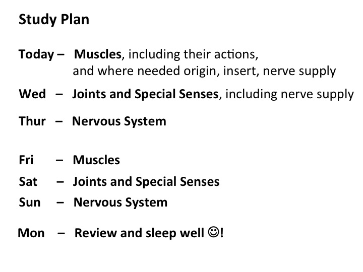 Human Anatomy Lab: Study Plan for the Practical #2