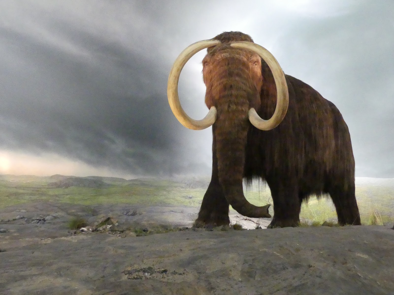 NW USA & Canada -7.2018- reisverslag