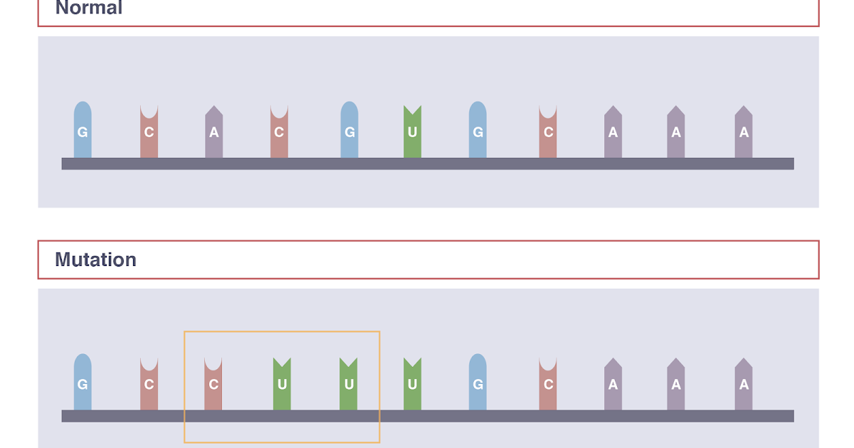 IGCSE Biology 2017: 3.34: Understand that Mutation is a Rare, Random ...