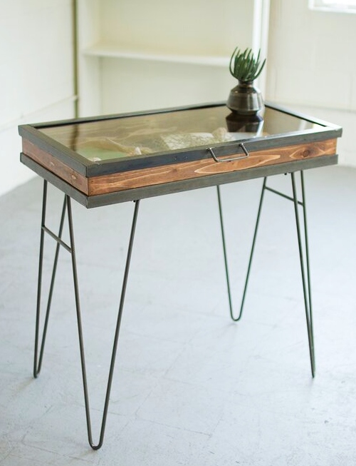 Shop Display Tables & Shadow Box Tables for Beach, Sea & Shell Collections