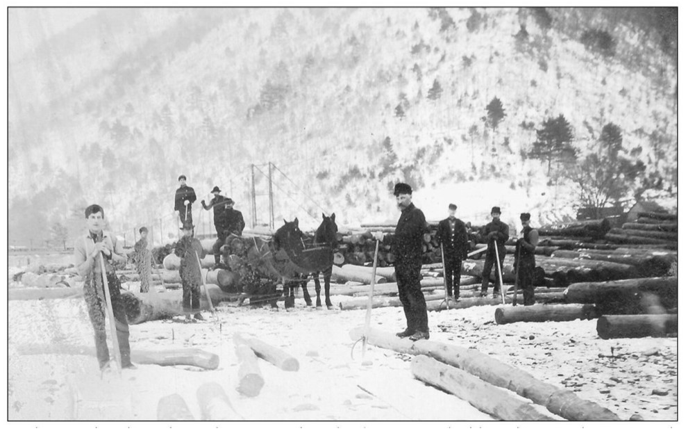 Valley Girl Views: The Lumber Boom In Williamsport