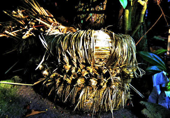 More glimpses of unfamiliar Japan: The Kojin of Rokusho Shrine