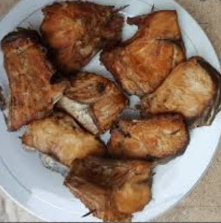 Mengenal Ikan Pe Si Ikan Pari | IKAN DAN LAUT