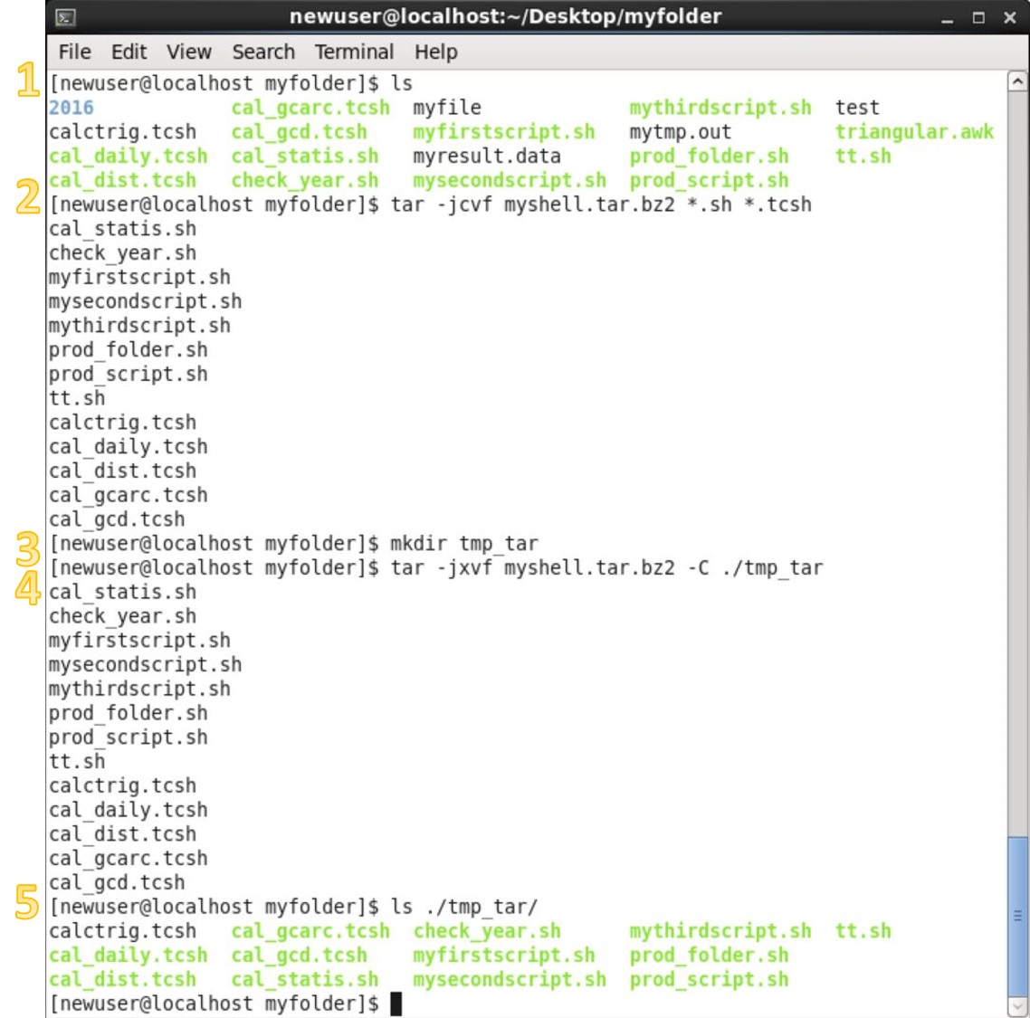 Linux 操作不求人系列 貳章之貳 Shell Script 程式設計ii Bash 與 Tcsh Csh