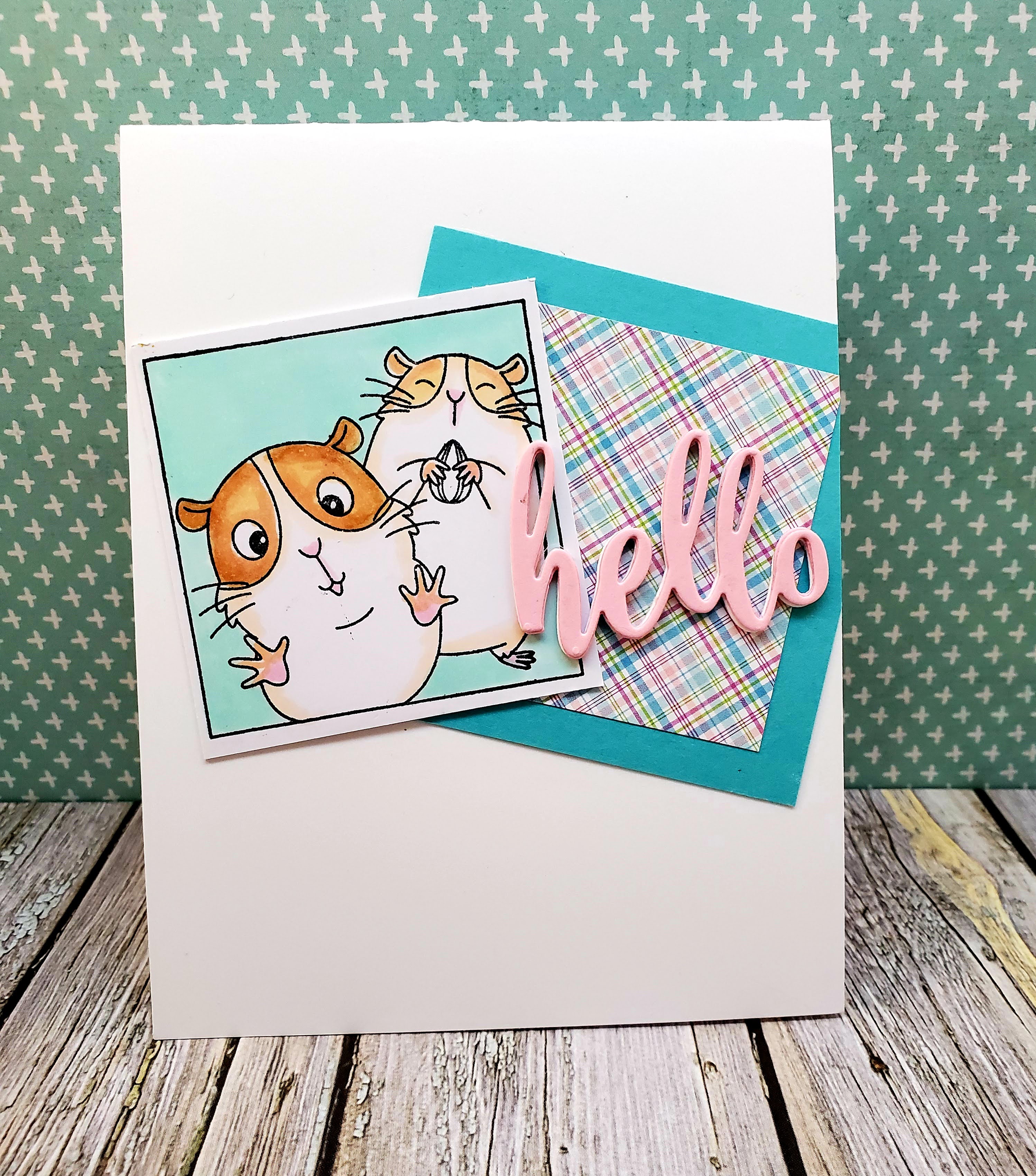 Slightly Off Center: Hello....Hamster Selfie Card