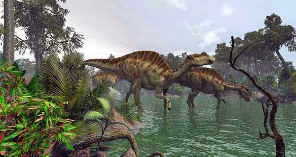 Fauna prehistórica descubiertas en España - Resolviendo la incógnita