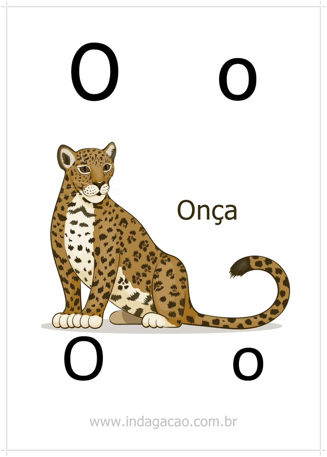 Alfabeto Animal: Letra O - INDAGAÇÃO