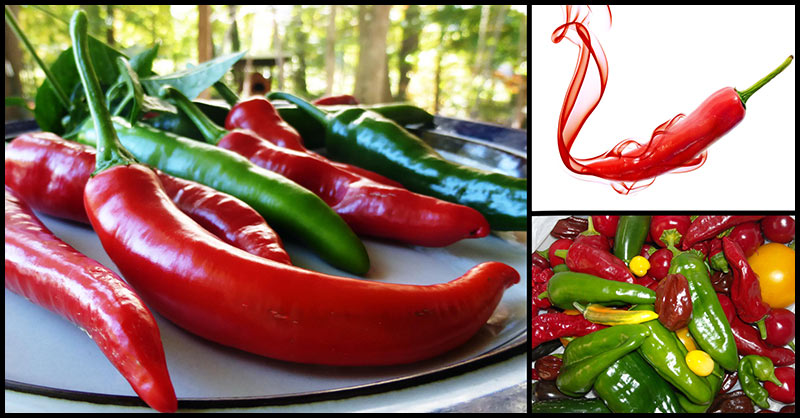 Health Benefits Of Capsaicin | Dr Farrah MD