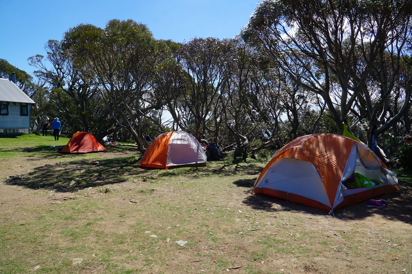 Mt Feathertop via the Razorback (Alpine NP) ~ The Long Way's Better