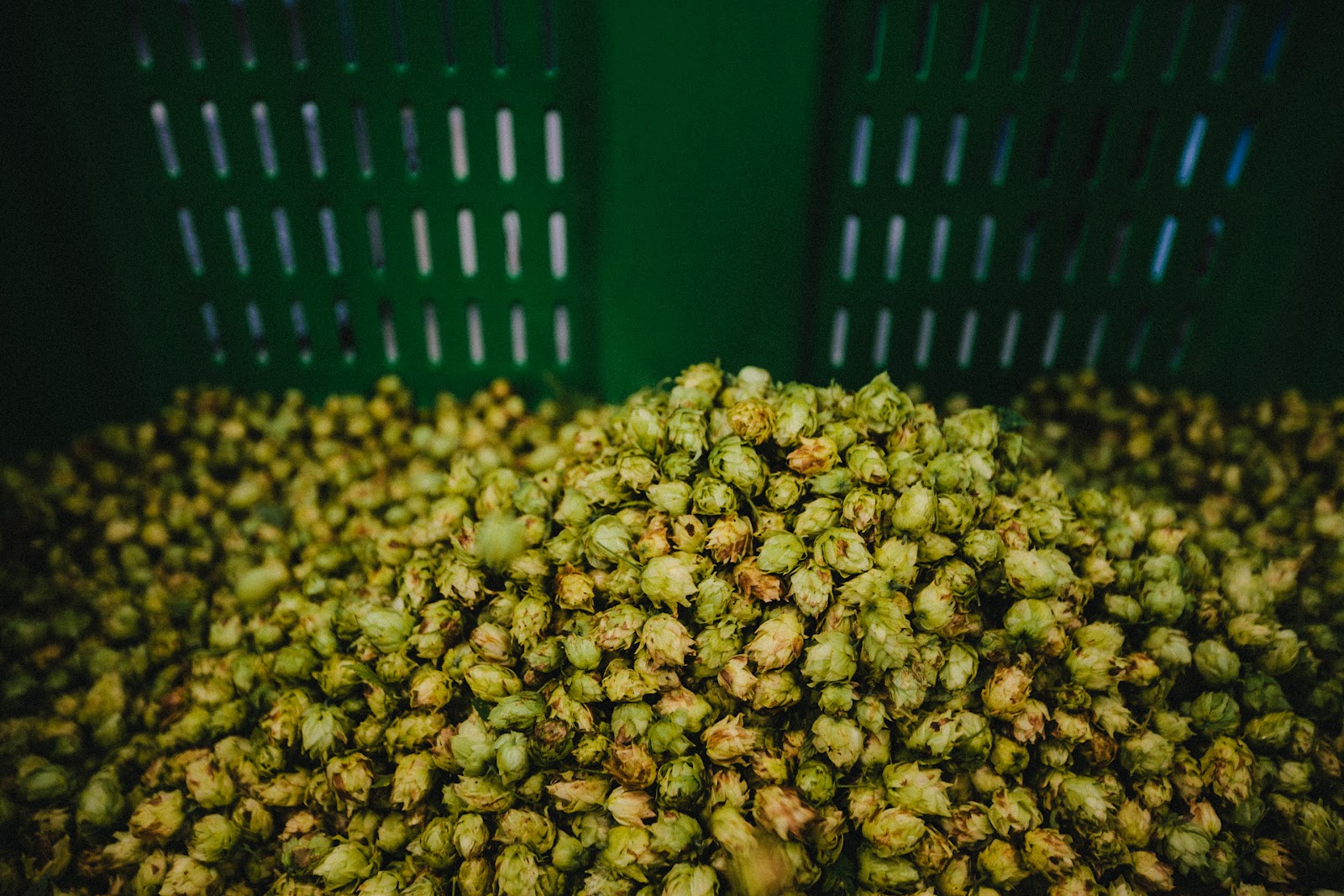 mibeerfilm: Hop Head Farms