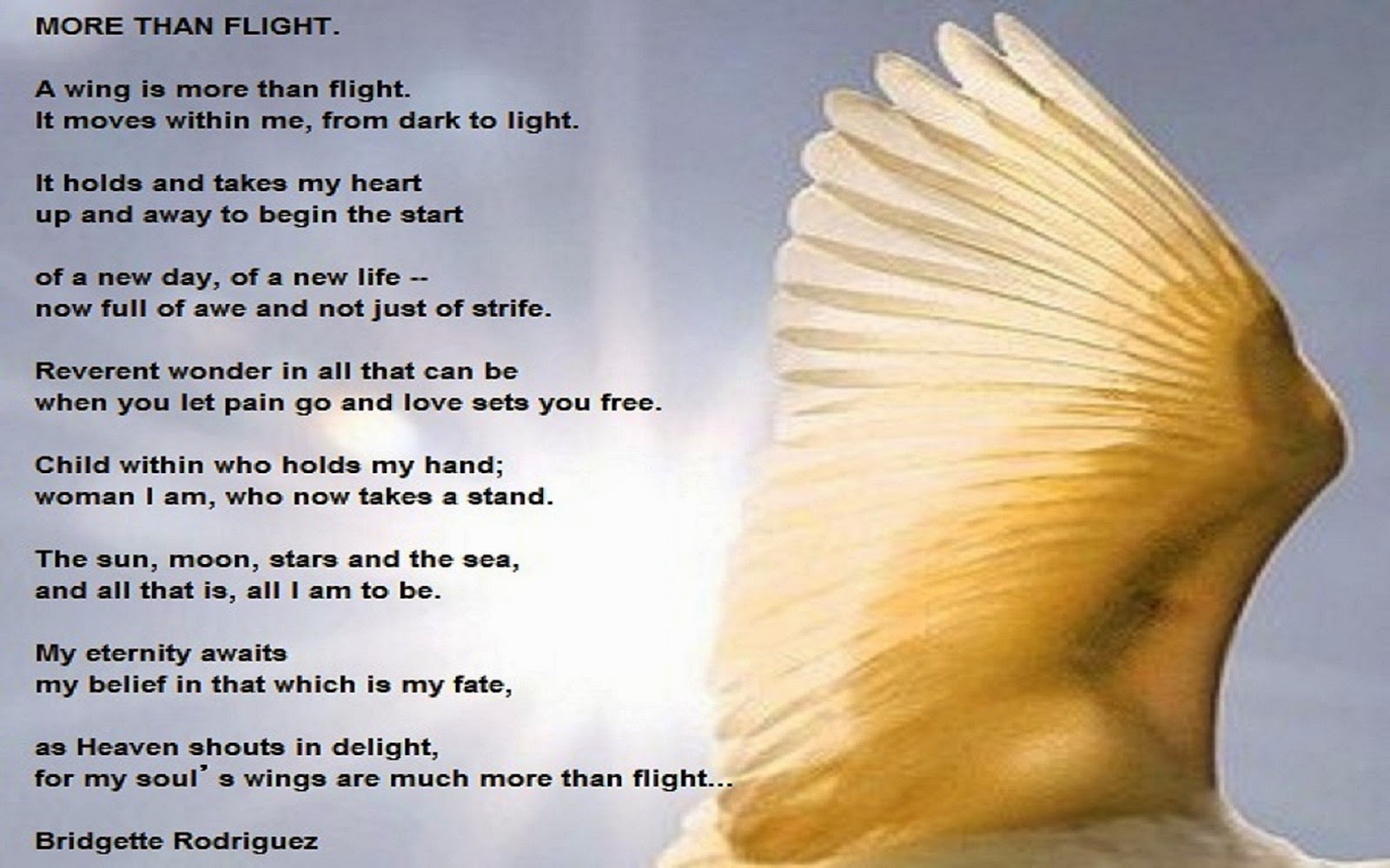 Wisdom Poems About Life With Images By Famous Authors - Poetry Likers