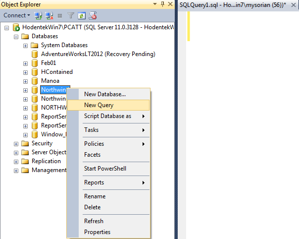 HodentekHelp: What is a snippet and how do you insert a snippet in SQL ...