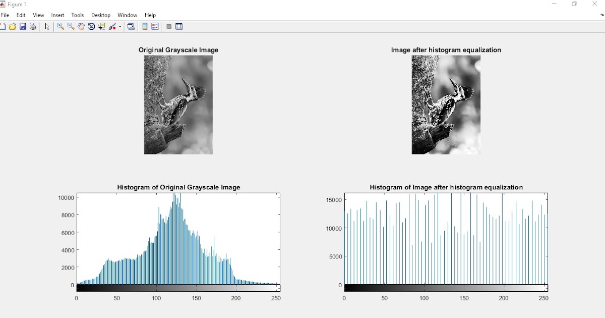 Matlab Code For Histogram Equalization ~ Matlab Project Codes