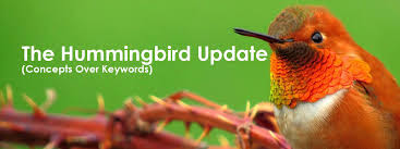 Google Algorithm Updates