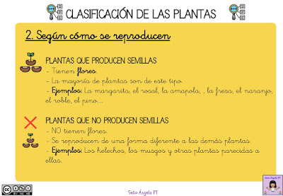 Seño Ángela PT: 2020