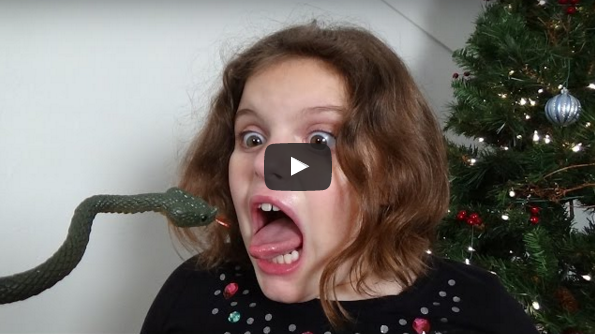 Snakes In Christmas Tree "Rattlesnake & Green Snake Attack Girl" Toy ...